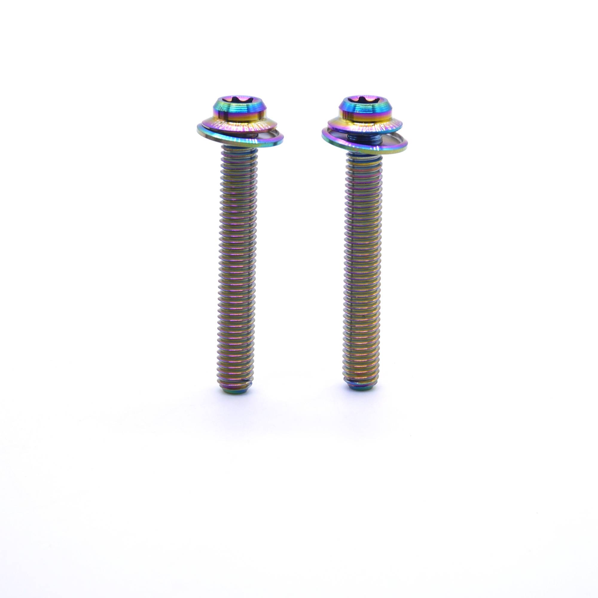 FRAMESANDGEAR ROADBIKE DISC BRAKE CALIPER TITANIUM BOLTS M5*35, RAINBOW